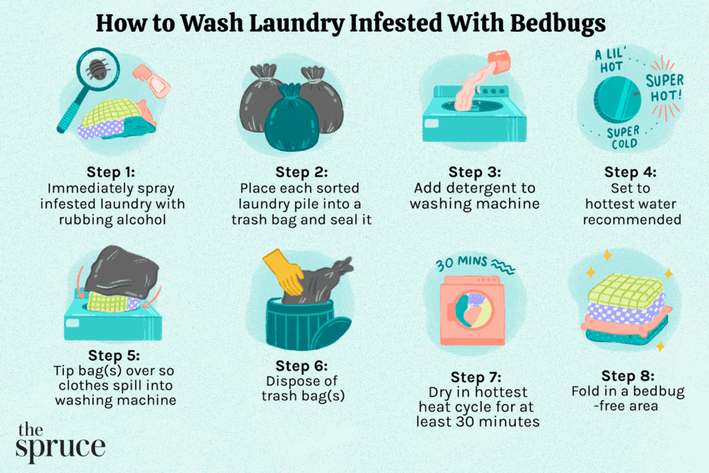 How to Clean Up After Bed Bugs?
