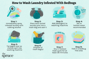 Cleaning Up After Bed Bugs