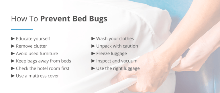How to Clean Yourself After Bed Bugs?