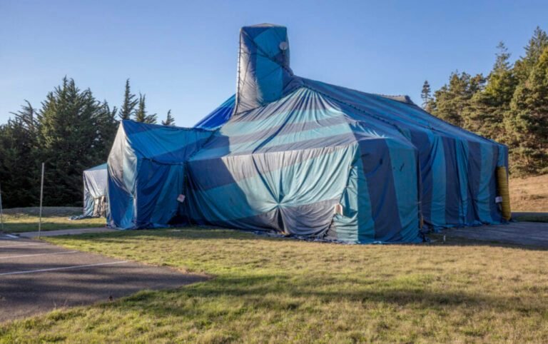 How To Fumigate Bed Bugs?