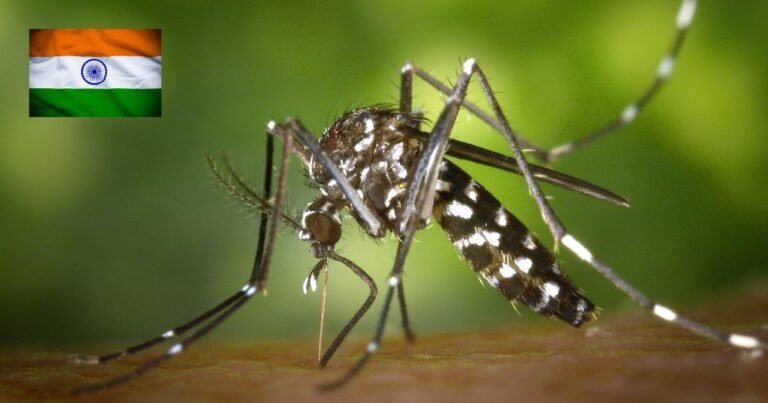 How Many Mosquitoes in India? Unveiling the Buzzing Truth