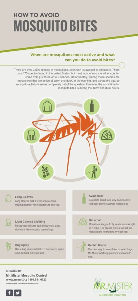 When Do Mosquitoes Go Away at Night?: Discover Their Secrets