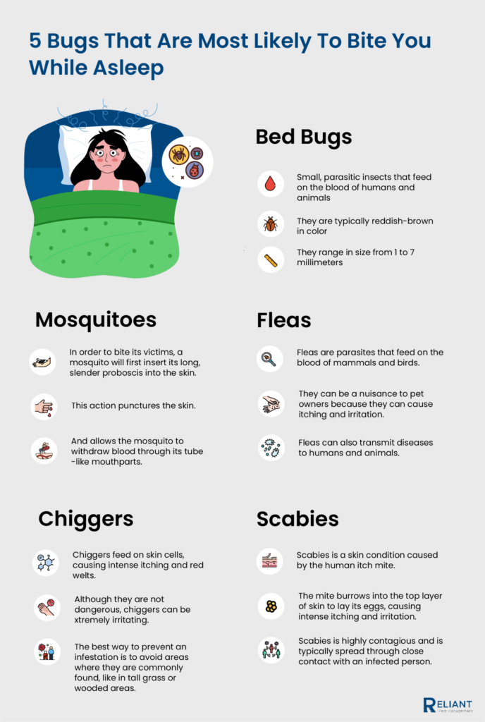 Why Do Mosquitoes Bite Me at Night? Unveiled Secrets